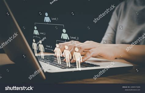 Workflow Automation Flowchart Business Hierarchy Structure Stock Photo Shutterstock