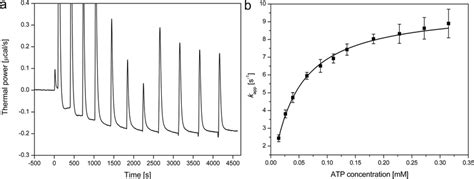 Determination Of Kinetic Parameters By ITC A Titration Experiment Download Scientific