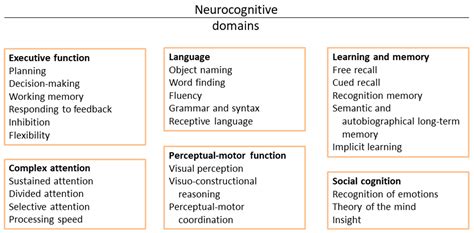 Brain And Cognitive Development In Adolescents With Anorexia Nervosa A