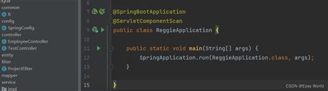 Springboot项目中添加过滤器filter失效 校验是否登录springboot Filter不生效 Csdn博客