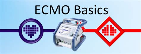 Ecmo Basics — Learnecmo Ecmo Basics — Learnecmo