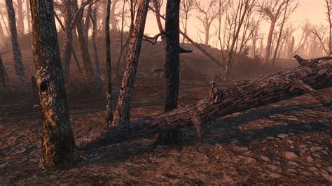 Vivid Fallout Trees At Fallout 4 Nexus Mods And Community