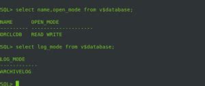 Enable Disable Archivelog Mode In Oracle Database