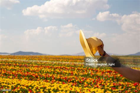 여름 햇살 여성 손 잡고 모자 여자는 아름다운 푸른 하늘과 꽃 정원 배경에 모자를 들고있다 자연에서 생활 스타일 여성 개념 개념에 대한 스톡 사진 및 기타 이미지 Istock
