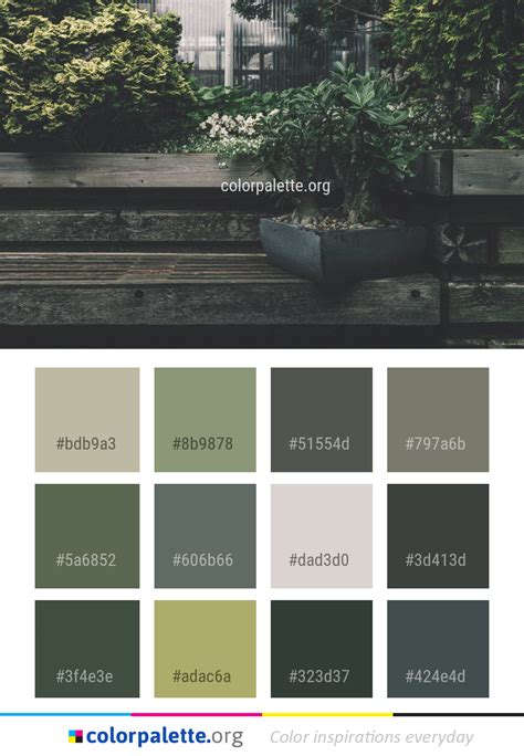 Plant Tree Leaf Color Palette