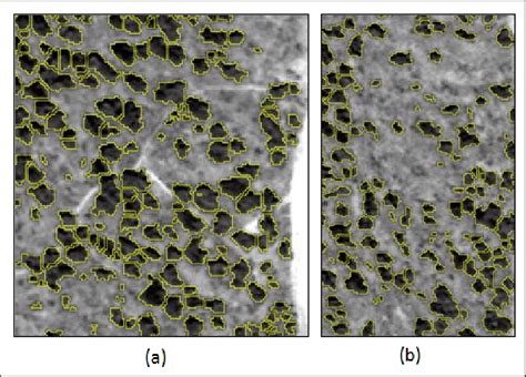 Delineation Results Following Raster To Vector Conversion Superimposed