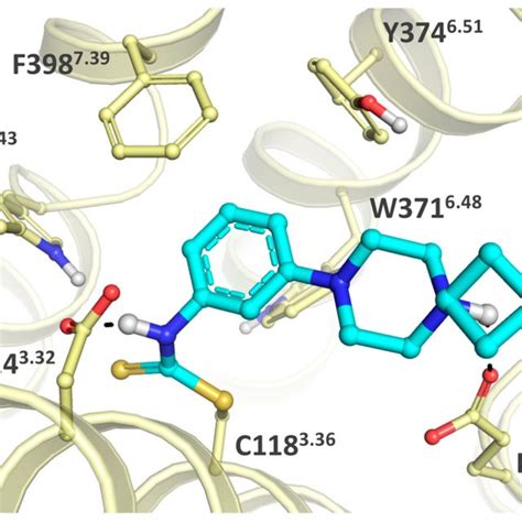 Proposed Binding Mode Of A Representative Compound From The Third