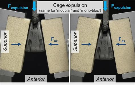 Test Procedure Of The Static Expulsion Test Left Start Of Testing Download Scientific