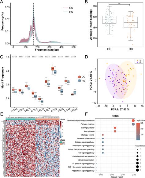 Model Construction Of Genomic Features A Fragment Size Distributions
