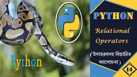 Relational Operators In Python Python Tutorial In Bengali 14