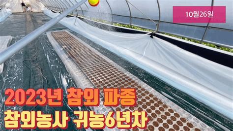 파파스트리농장 2023년 참외 파종 귀농6년차 Youtube