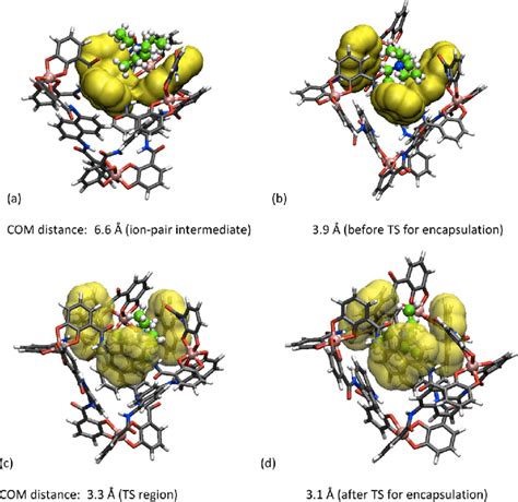 Representative Molecular Structures Of The Encapsulation Of The Guest