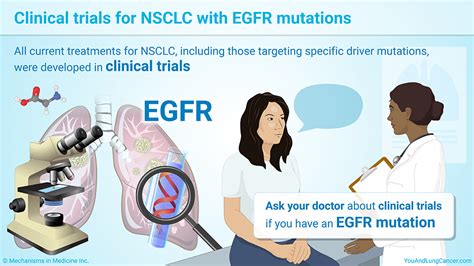 Slide Show Understanding Nsclc Treatment When You Have An Egfr Mutation