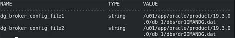 Oradicas Oracle Ora 16597 Oracle Data Guard Broker Detects Two Or