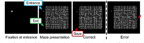Modeling Human Eye Movements With Neural Networks In A Maze Solving Task Paper And Code Catalyzex