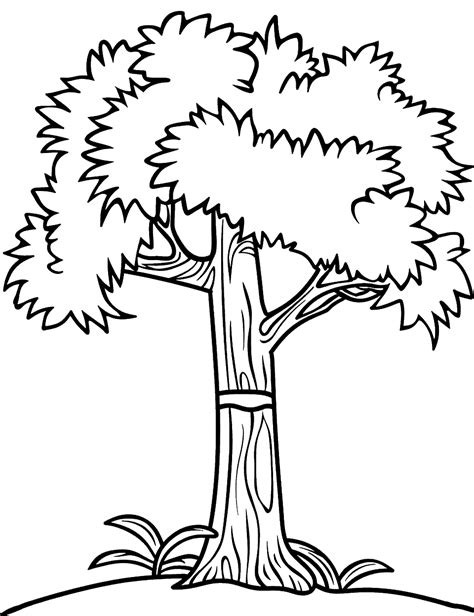 Tree Trunk Coloring Pages