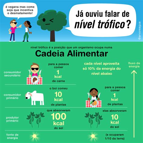 Exemplos De Nivel Trofico Cadeia Alimentar O Que N Veis