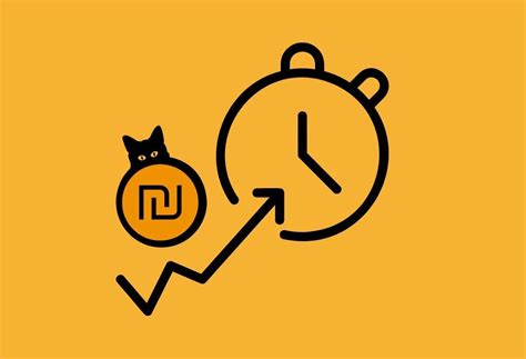 השקעה לטווח ארוך בשוק ההון איך לבנות תיק השקעות חתול פיננסי