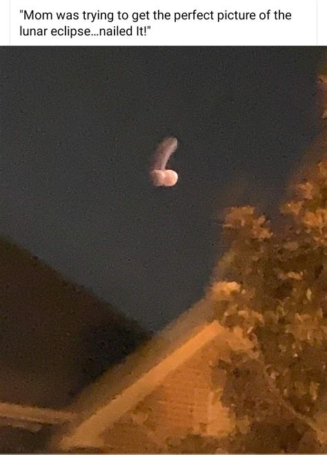 Lunar Eclipse Rmildlypenis
