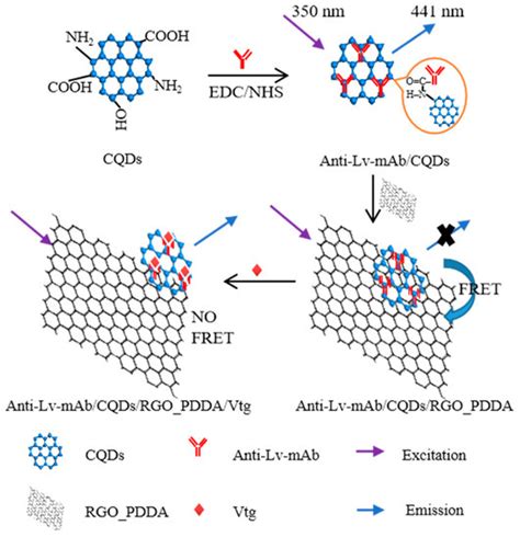 Chemosensors Free Full Text Ultrasensitive Fluorescent On Off