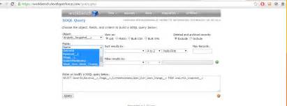 View Object Fields And Data Salesforce Stack Exchange