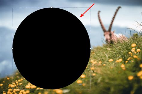 How To Crop In Inkscape Step By Step