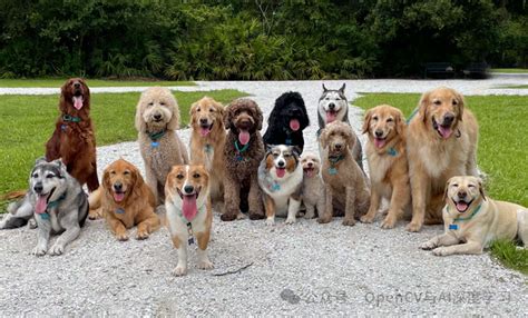 Opencv与ai深度学习 计算机视觉实现物体计数的四大案例（步骤 代码）视觉查数方案 Csdn博客