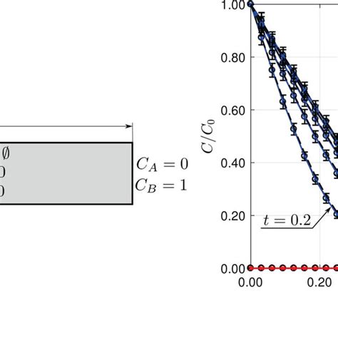 Example Of Biological System Possessing Reaction Diffusion Advection Download Scientific