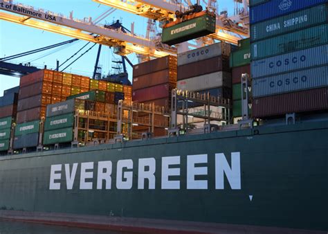 Building Operational Resilience Through Efficient Supply Chains Mitratech