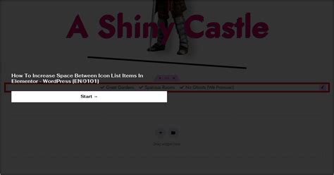 How To Increase Space Between Icon List Items In Elementor Wordpress En0101