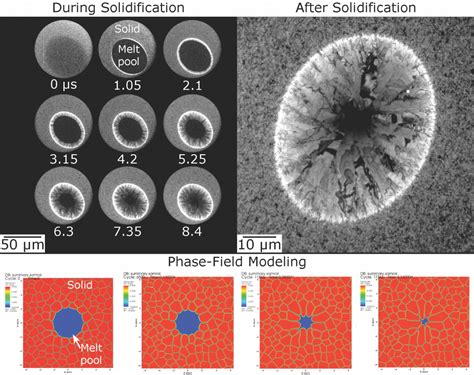 Microstructure Evolution During Rapid Solidification In Situ