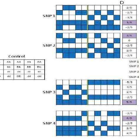 model selection and computation of binary genotype profiles for each