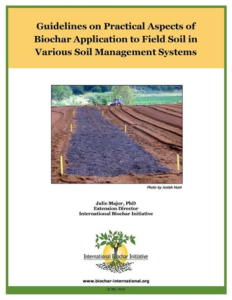 Guidelines on Practical Aspects of Biochar Application to Field Soil in Various Soil Management ...