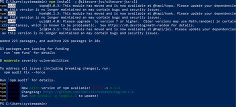 Setup Sitecore 10 2 Jss Using Next Js With Disconnected Mode Sandeep Pote