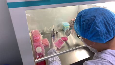 Genscript On Linkedin Start Your Antibody Project Today