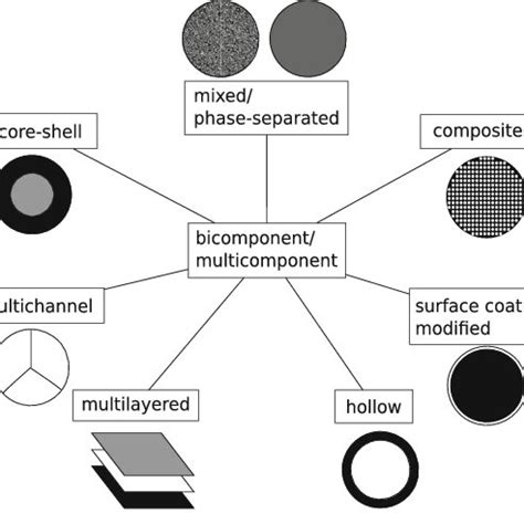 Various Fiber Constructs Types Download Scientific Diagram