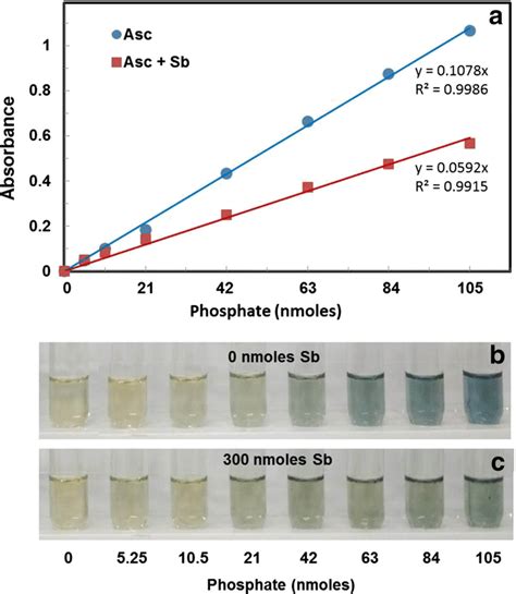 Negative Impact Of Antimony Sb On The Development Of Molybdenum Blue