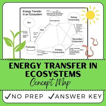 Energy Flow In Ecosystems Concept Map Producers And Consumers