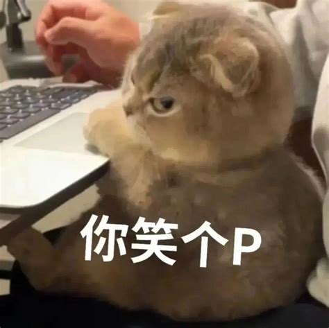 41句神反转文案，太搞笑了！ 知乎