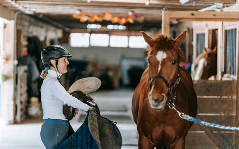 651 Showy And Creative Horse Farm Name Ideas Youll Love In 2026