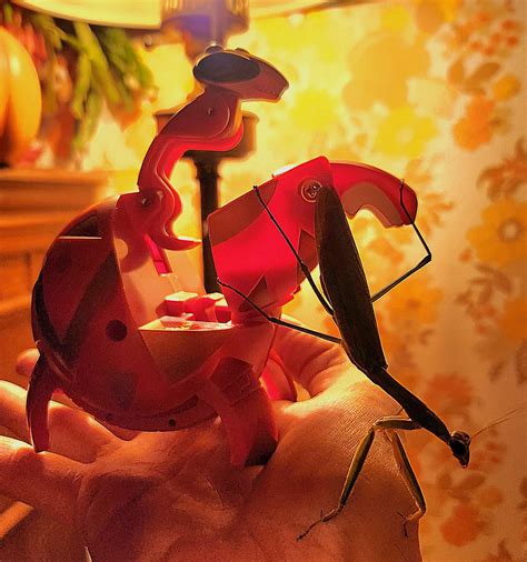 Deka Mantris Vs Praying Mantis R Bakugan