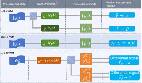 Schematic Diagrams Of Different Weak Measurement Schemes A Swm