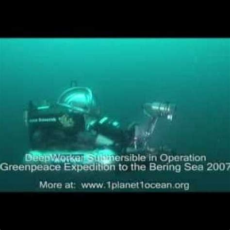 Missingsemicolon Youtube