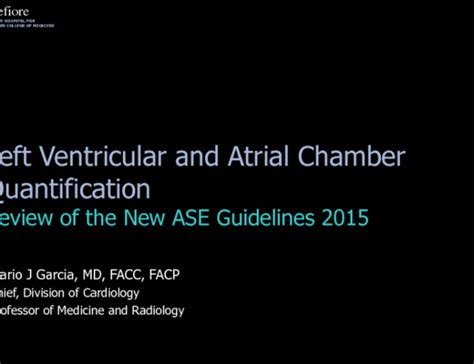 Left Ventricular And Atrial Chamber Quantification