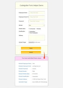 CodeIgniter Form Helper FormGet