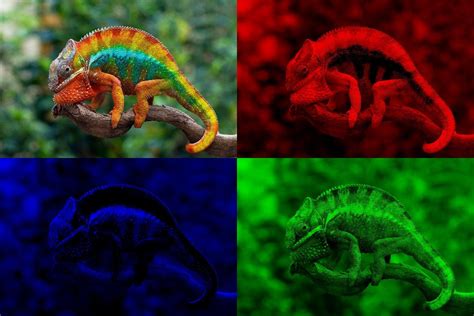 deeprender yuv colour and compression