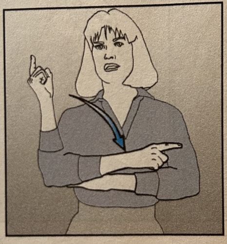 Chapter 6 Flashcards Quizlet