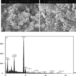 SEM Images Of Pure A Doped TiO B And EDX C Of Doped TiO Download Scientific Diagram