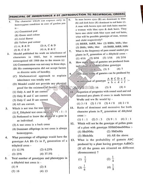 Genetics Questions Pdf