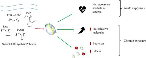 Beyond Microplastics Water Soluble Synthetic Polymers Exert Sublethal
